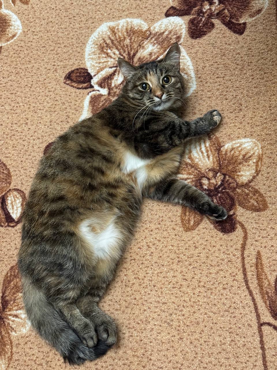 Post #2759 — Gilticus (@Gilticus)