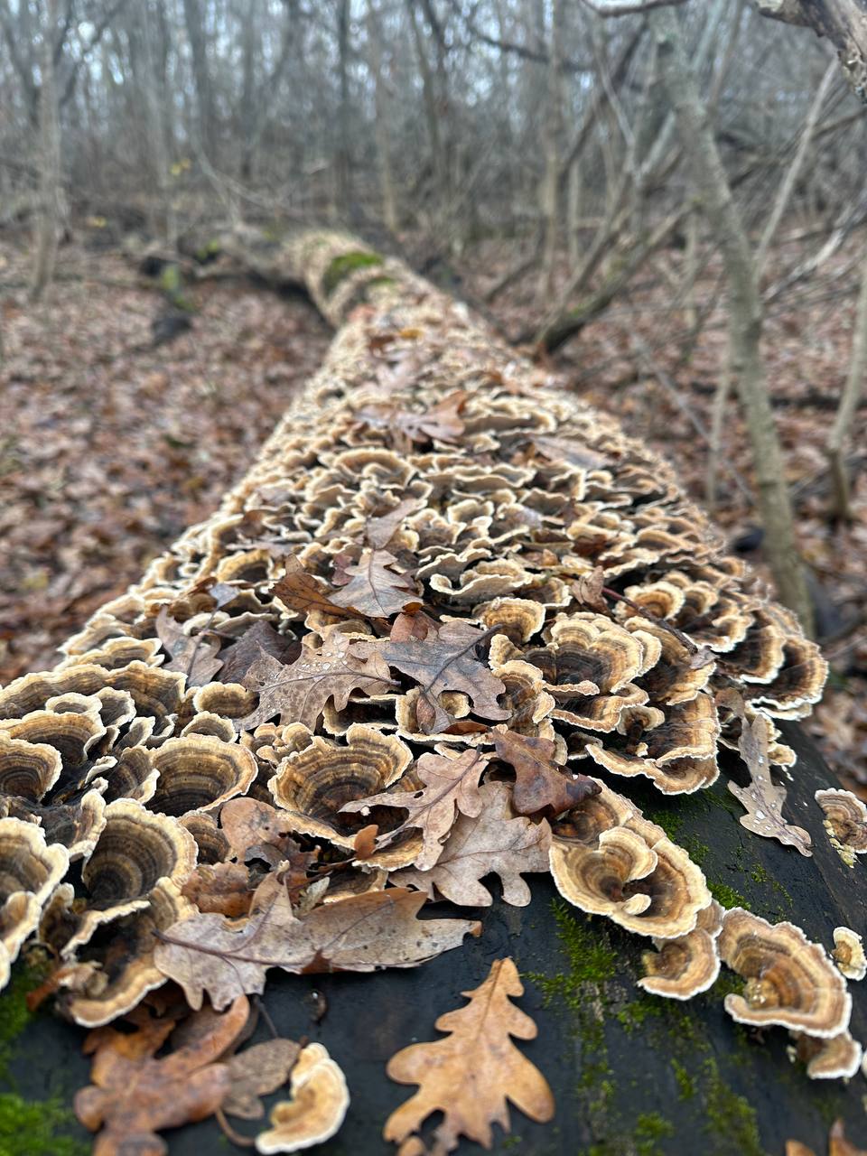 Telegram channel "ВЫЖИВАЛОВО" — @vyzhivalovo — TGStat